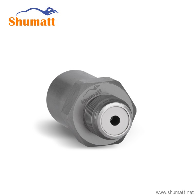 China made new common rail pressure relief valve 1110010032